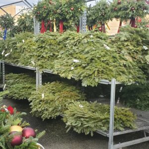 WESTMINSTER NURSERY & GARDEN CENTER