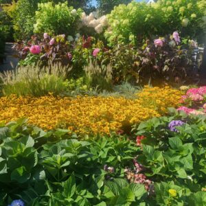 Westminster Nursery - Westminster Nursery & Garden Center